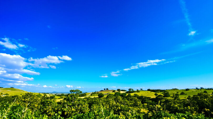 Caffè Latte, Cappuccino, Macchiato : Décryptage des recettes lactées